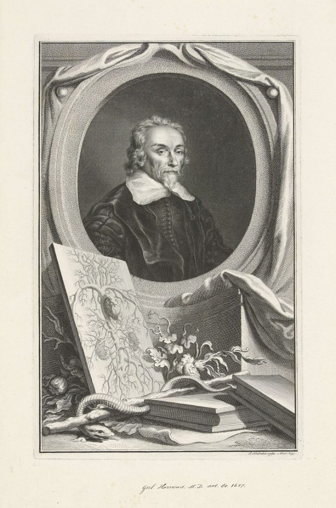William Harvey – Museu do Universo da Farmácia